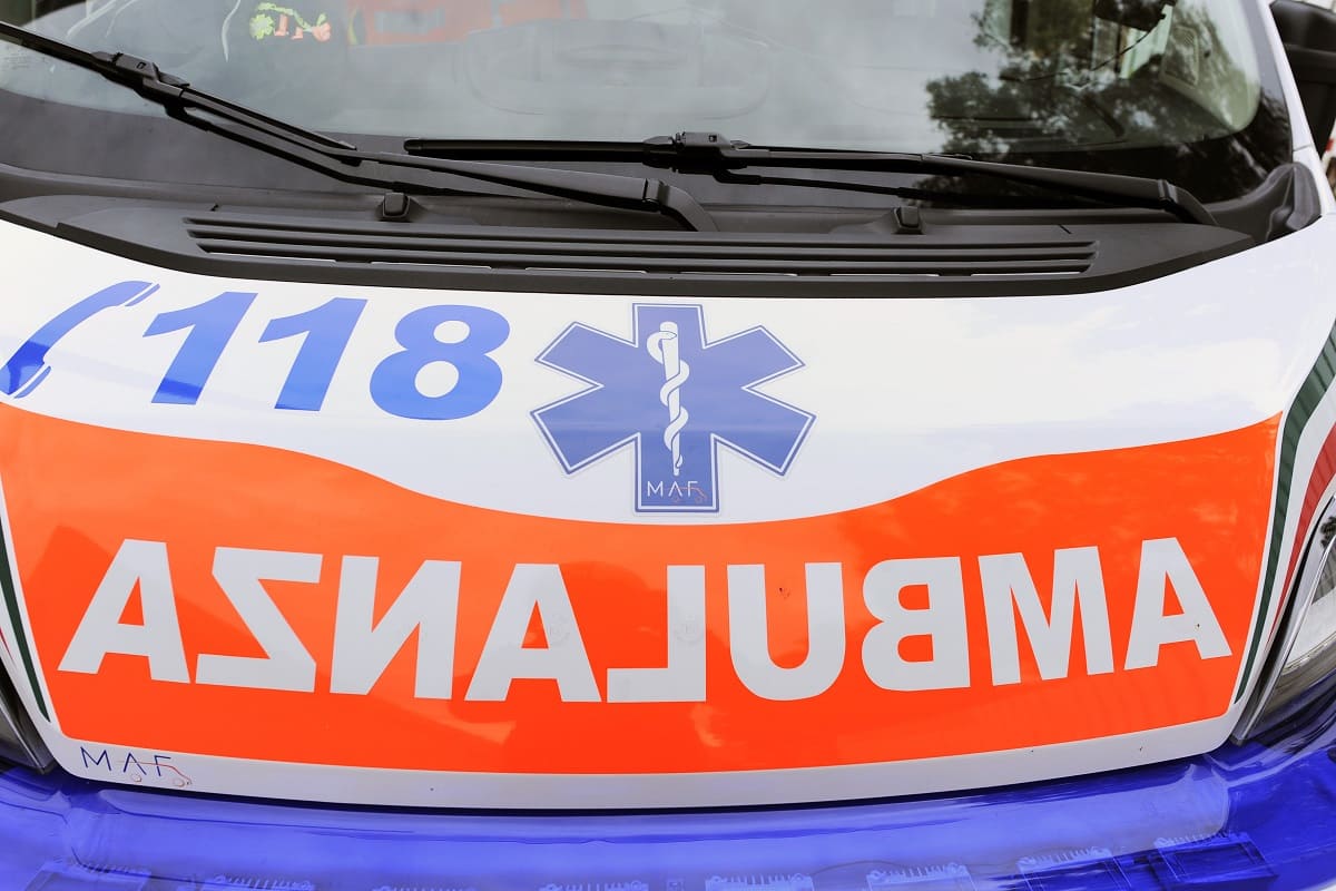 Messina, cadono con la moto in una scarpata inseguiti da cani randagi ...