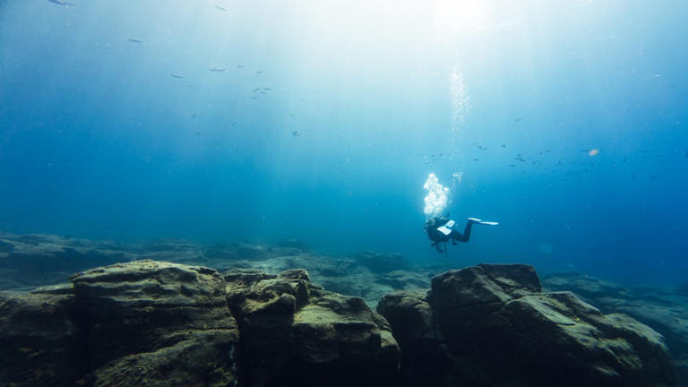 10 Facts About The Deep Sea - From Ocean Researchers