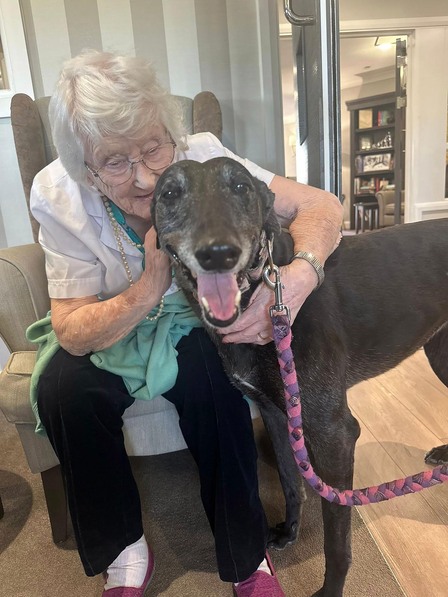 Hepworth House welcomes weekly visits from therapy dog Indra