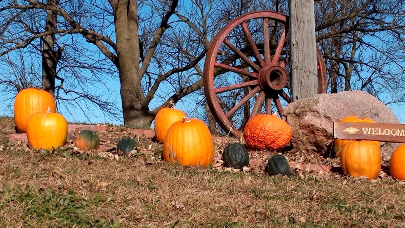 The best pumpkin patches and corn mazes near Des Moines this fall