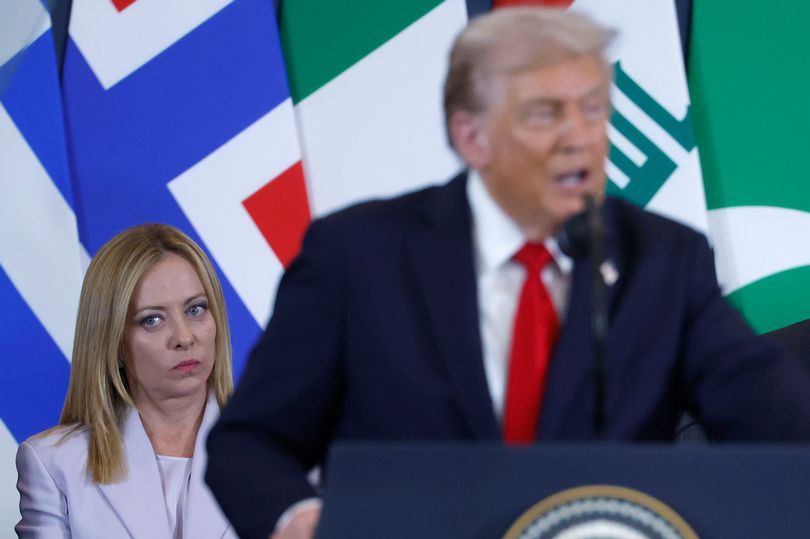 Italian PM Meloni's bewildered reaction to Trump's 'career-ending ...