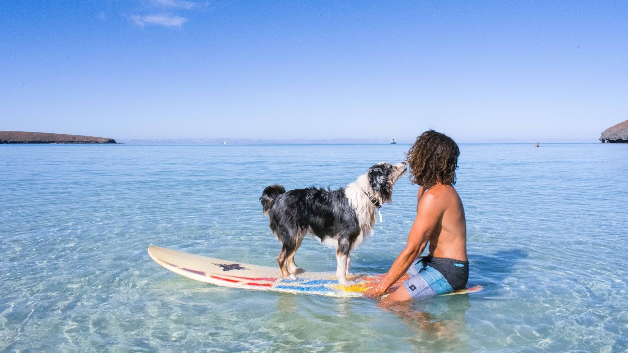 A new beginning | Van life Australia