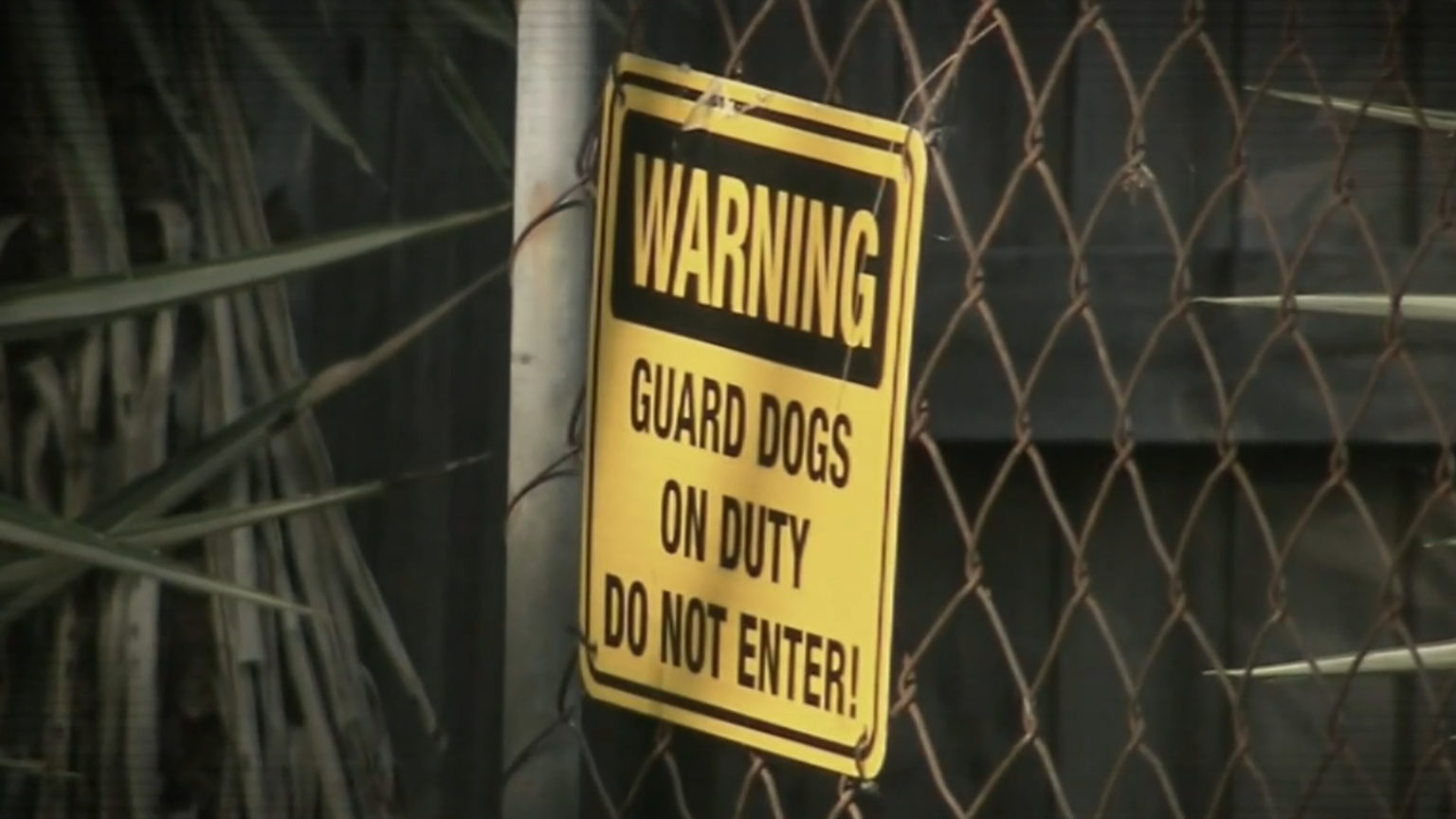 Guard dogs menaced worker before meter reader killed