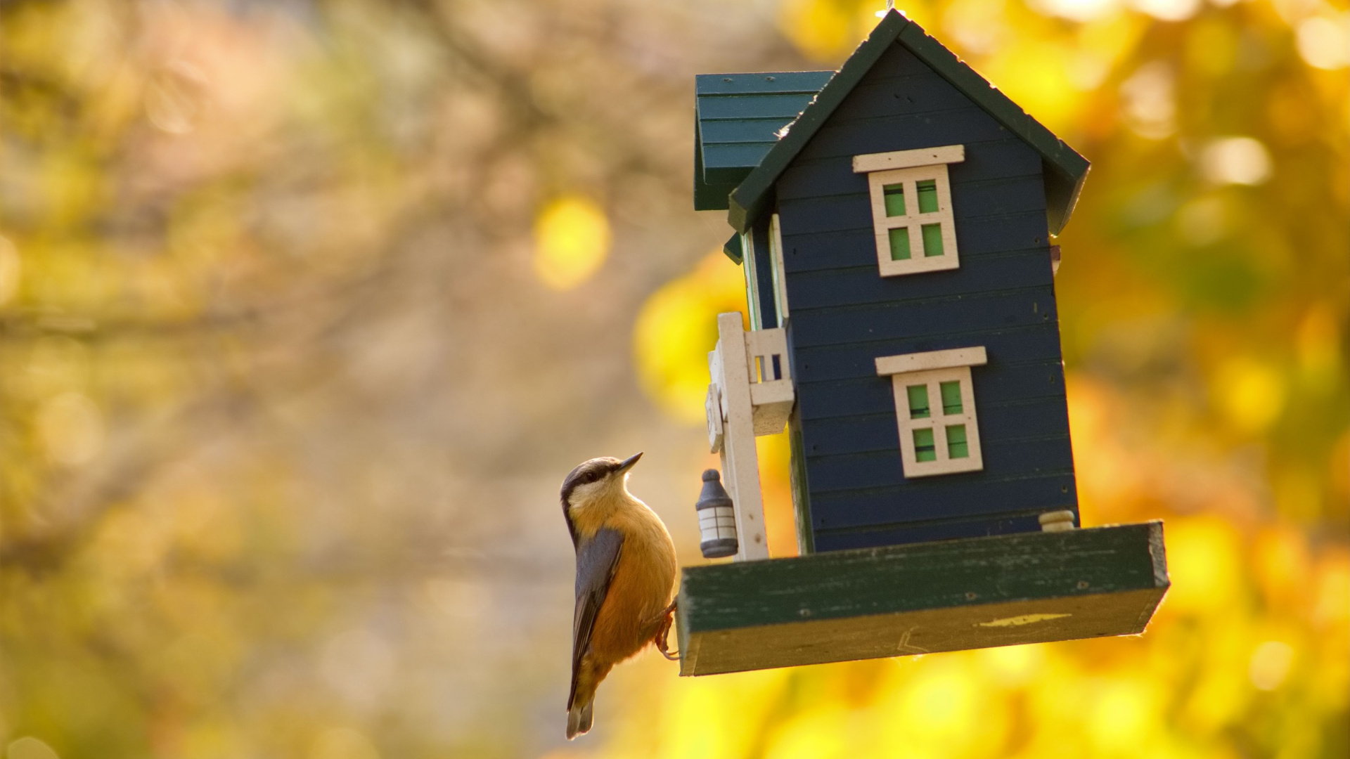 The Fall Backyard Birding Checklist – 13 Tricks To Attract Birds To ...