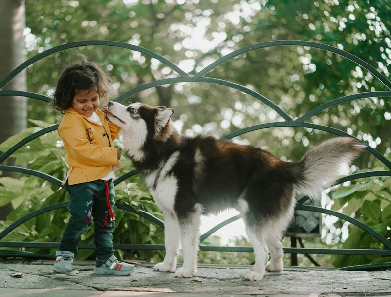 6 Animals That Bond Hard With Their Humans And 5 That Mostly Keep Their ...