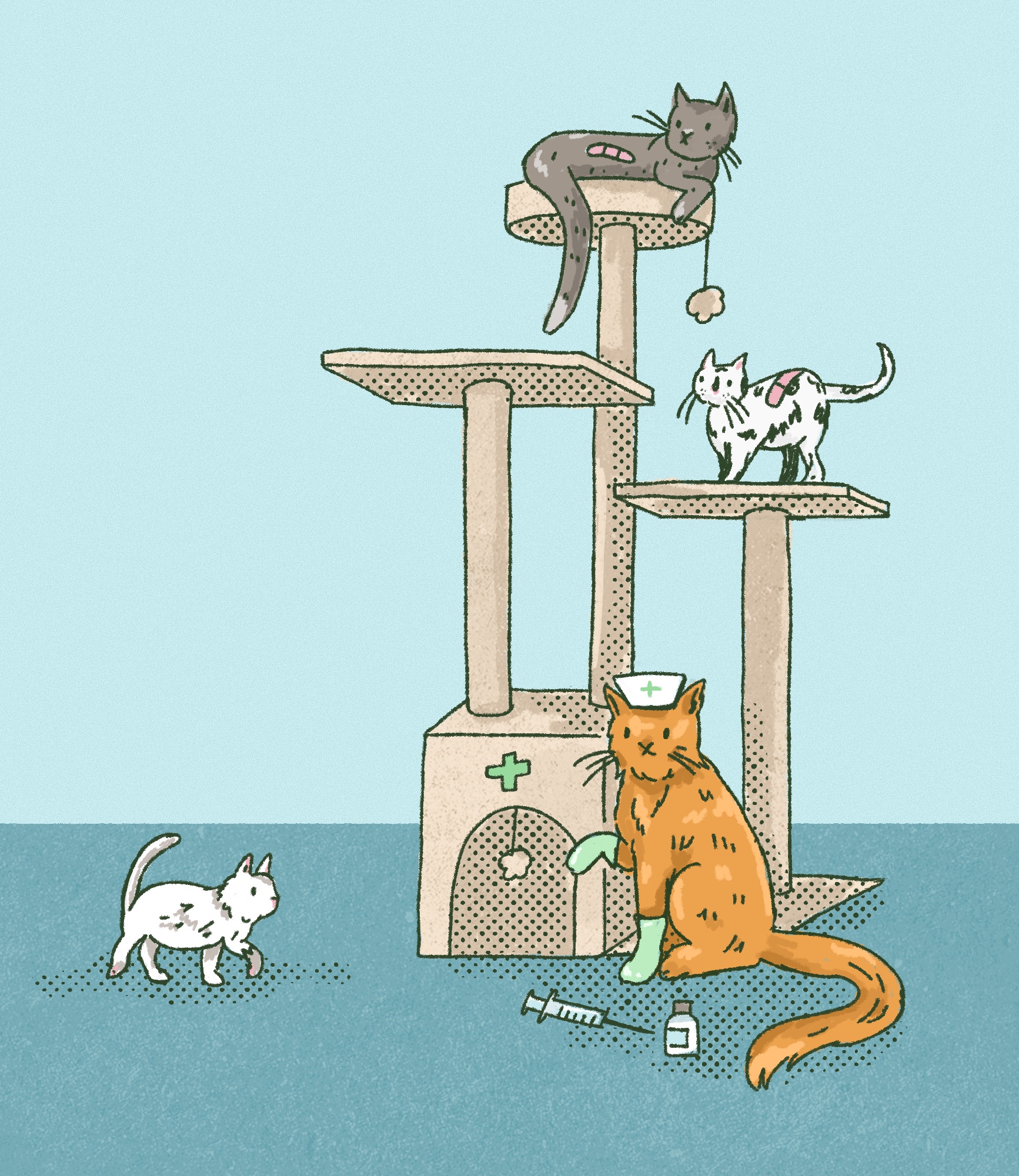 Ask a Vet: Do I really need to vaccinate my indoor cat?