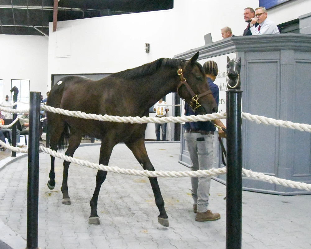 Louisiana Thoroughbred Breeders' Association sets 2026 auction calendar