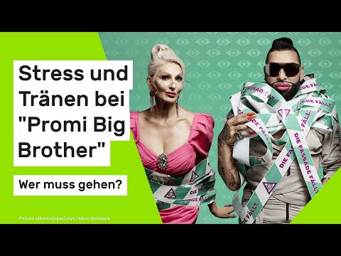 Der erste Rauswurf: Stress und Tränen bei "Promi Big Brother" - wer ...
