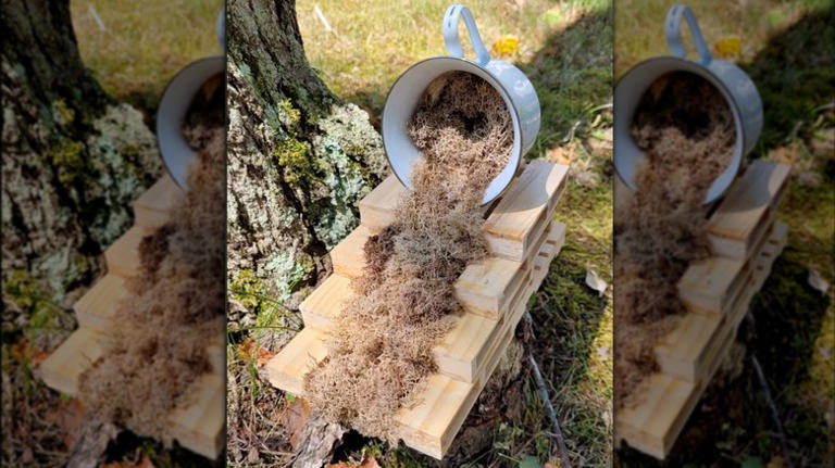 An Easy DIY Using Mugs Will Kickstart Your Cottage Garden Decor