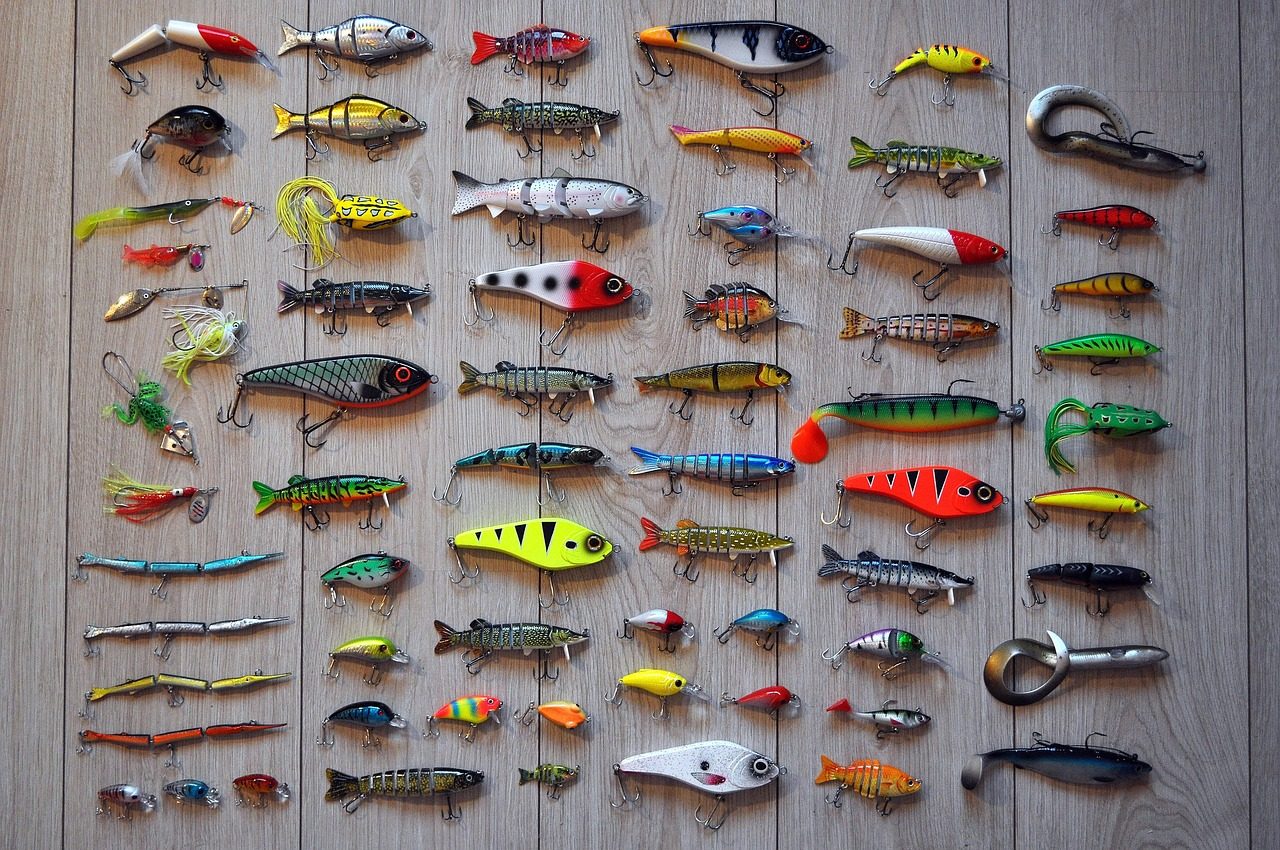 8 Best Bait Colors for Fishing in Dirty Water