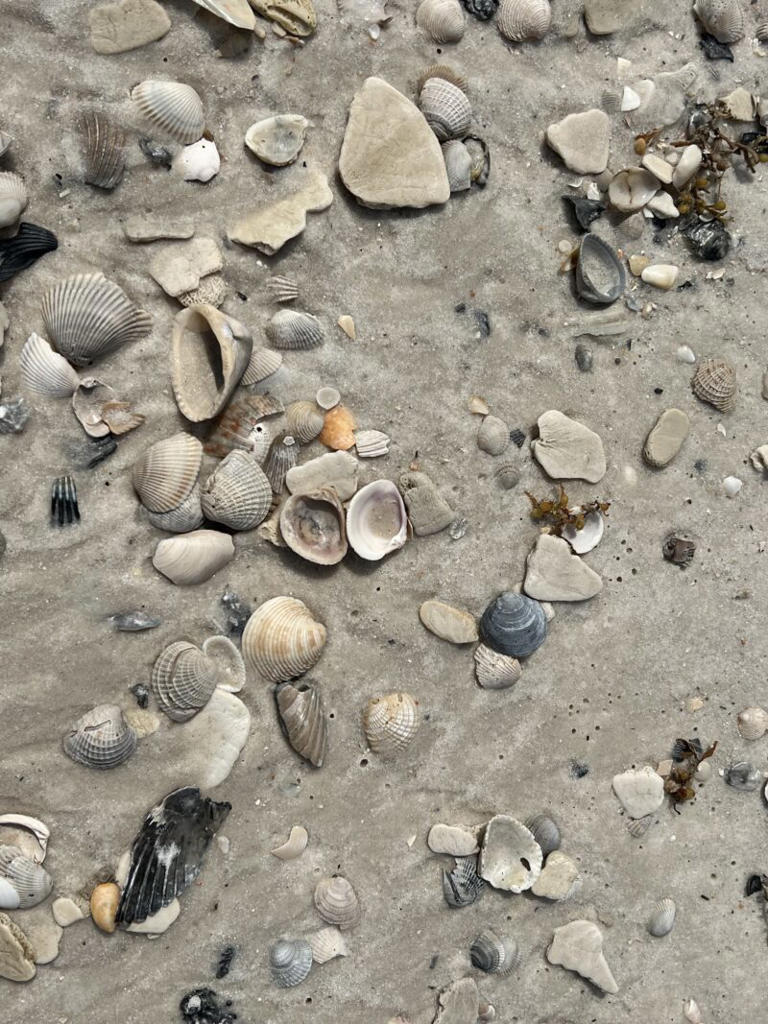 Family Fun Without Crowds: Alabama Beaches in the Off-Season