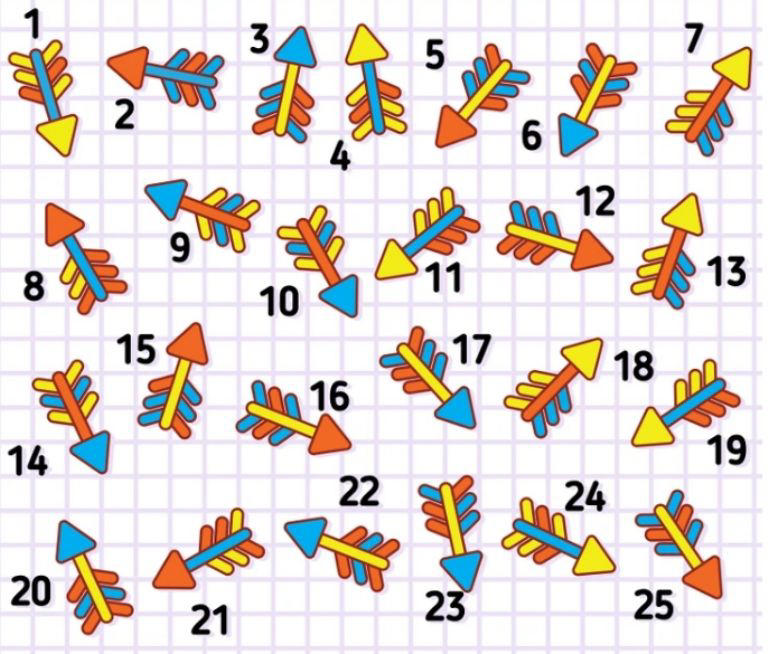 Reto visual: sólo las personas con vista de halcón hallan la flecha sin su par en sólo 5 segundos