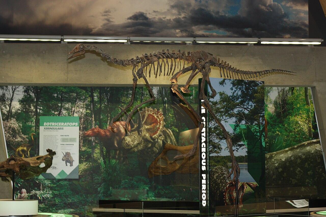 Canada’s Top Dinosaur Museums and Fossil Discovery Sites