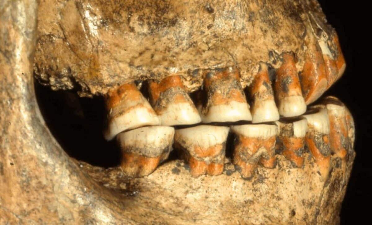 A Prehistoric Myth Collapses… Our Ancestors Weren’t Cleaning Their ...