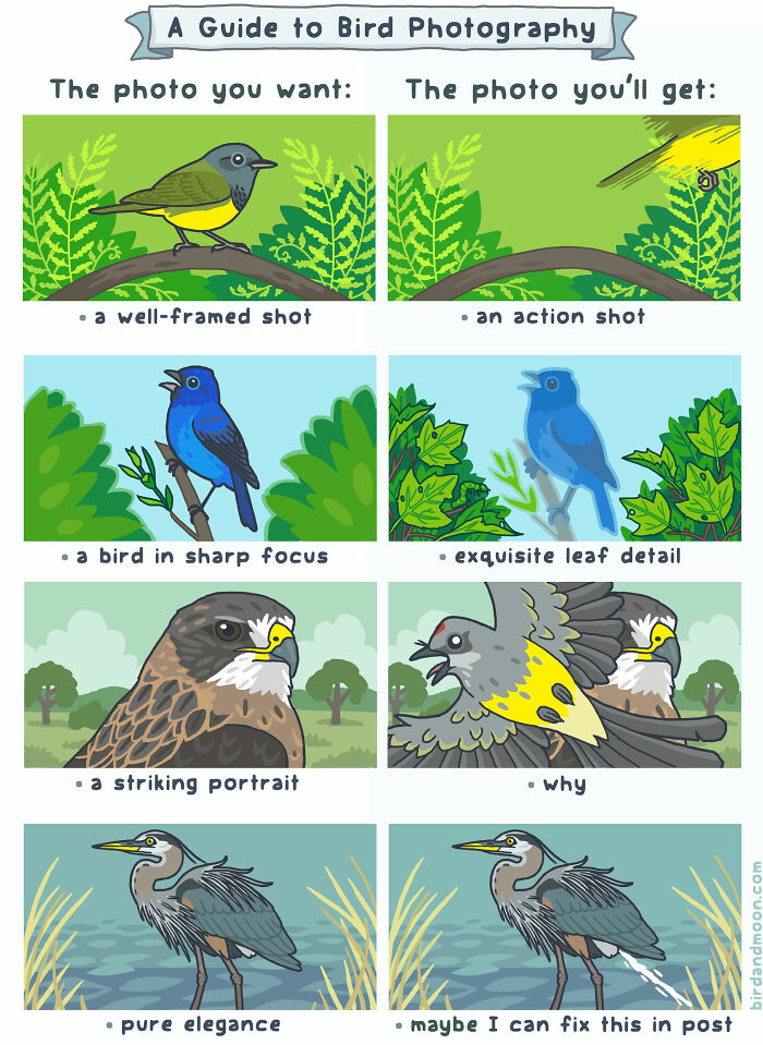 Artist Creates Comics Depicting Humorous Moments In Nature (17 Pics)