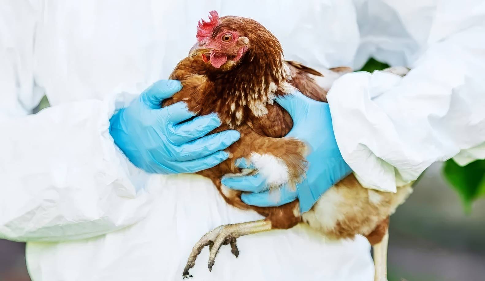 La situation est préoccupante après la confirmation de deux cas de ...