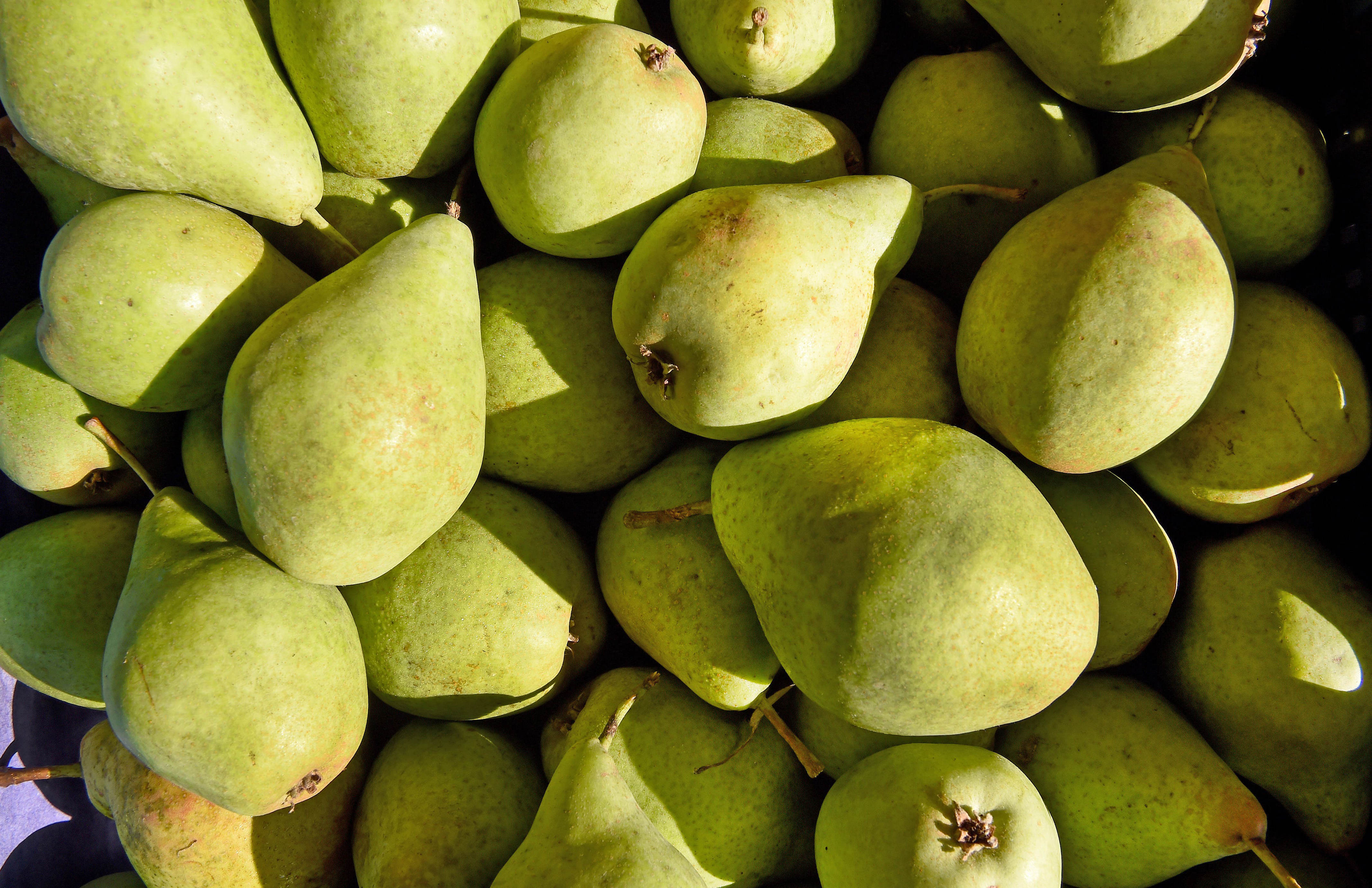 Fruit cocktail recall in 27 states as FDA issues risk warning