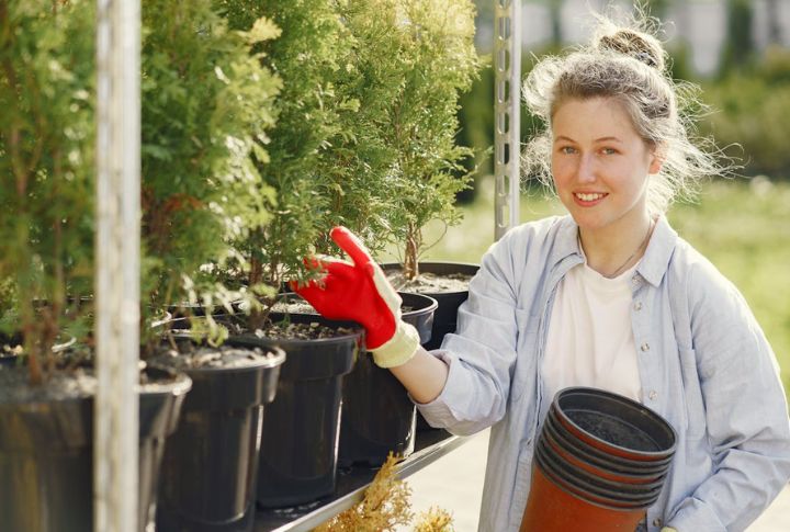 How To Keep Your Garden Thriving When You Barely Have Time