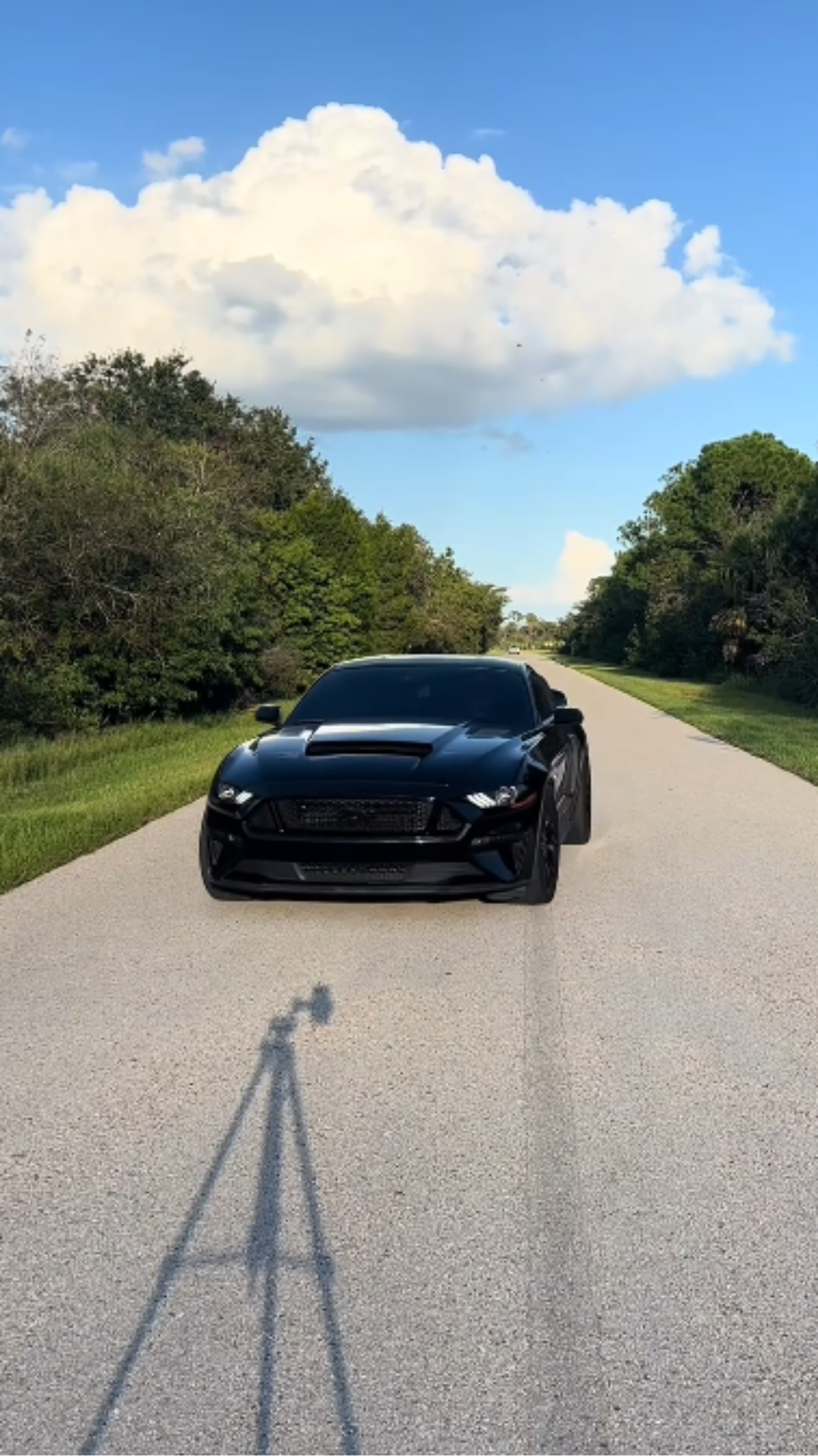 V12 Swap Mustang GT – Epic Downshifts in Action