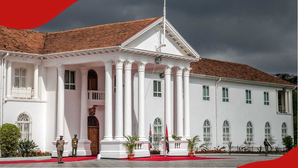 Nairobi: Spear-wielding man kills state house guard, claims satan sent him