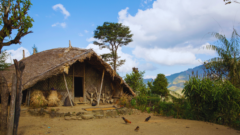 Watch: Vlogger takes us inside a Nagaland home that lies half in India ...