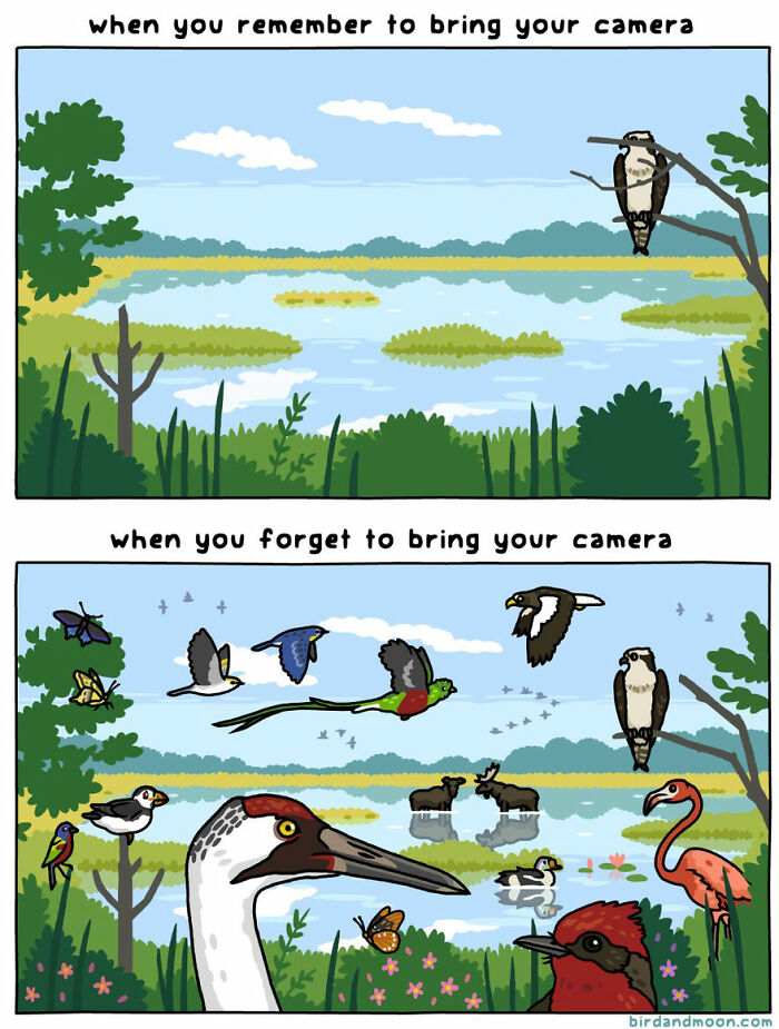 Artist Creates Comics Depicting Humorous Moments In Nature (17 Pics)