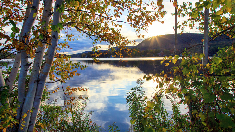 Massachusetts' 'Big Cheese' Town Is Known For Its Iconic Trails ...