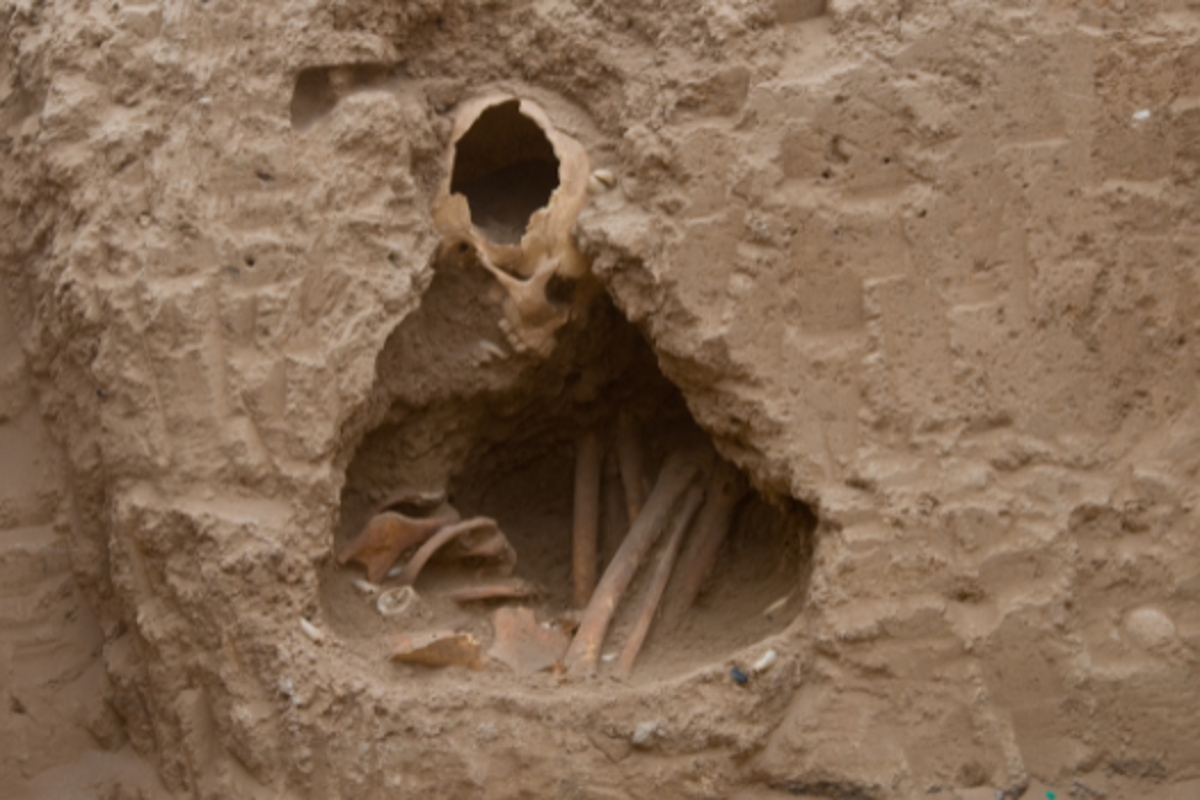 The surprising amount archaeologists learned from 10,000-year-old teeth