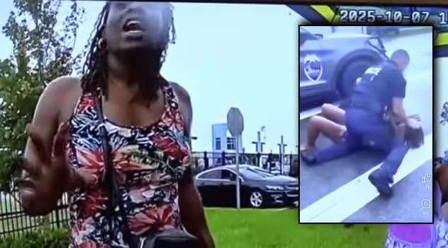 Florida Mother Faces Felonies After Violent Arrest At School; Attorney ...