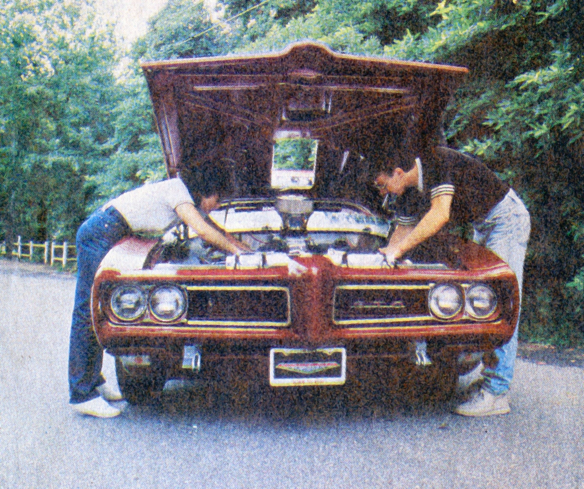 Brick couple building tribute to Bruce Springsteen (1984)