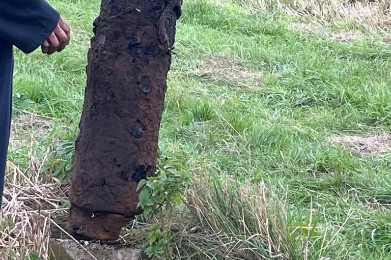 Man hit suspicious object with a hammer to 'prove it wasn't a bomb'