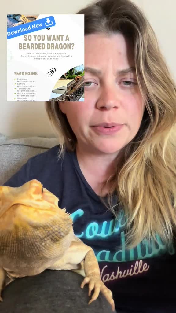 Essential Bearded Dragon Guide for New Owners: Download Your Checklist!