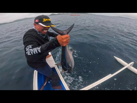 Swimming with vibrant marine life!