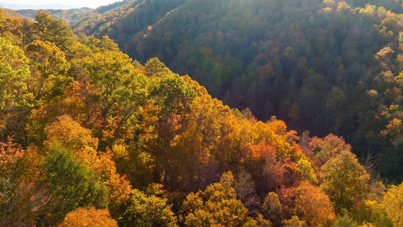 Missouri cozy lake days and fall color around the Ozarks