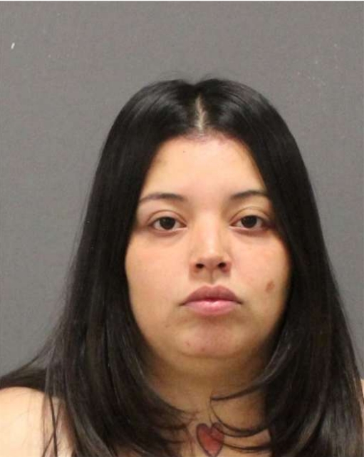 Mother, aunt arrested in death of young girl whose remains were found in New Britain