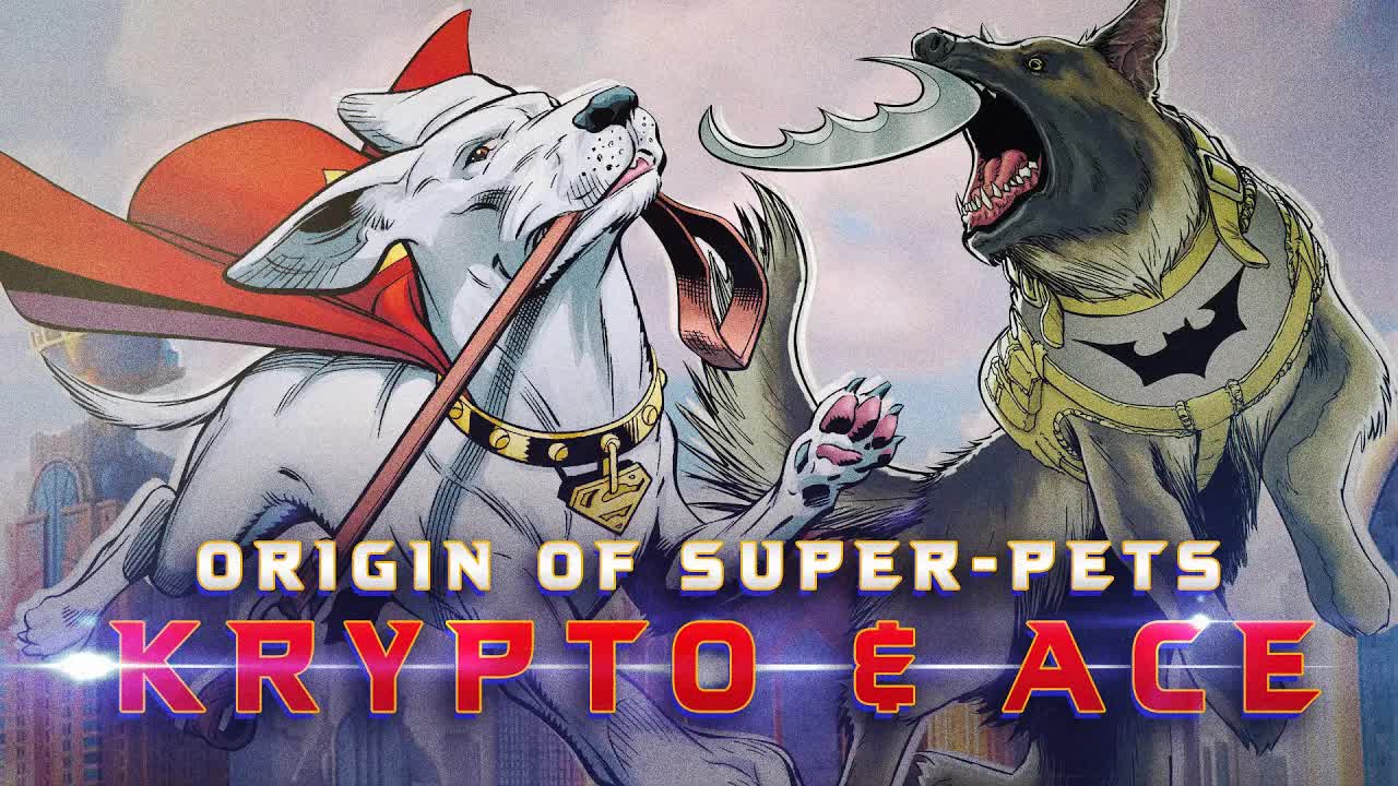 Origin of super pets: Krypto the superdog & Ace the bat-hound