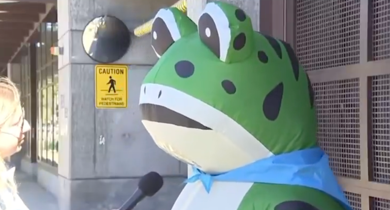 Here's Why ICE Protests Are Suddenly Full Of Inflatable Frogs (And What ...