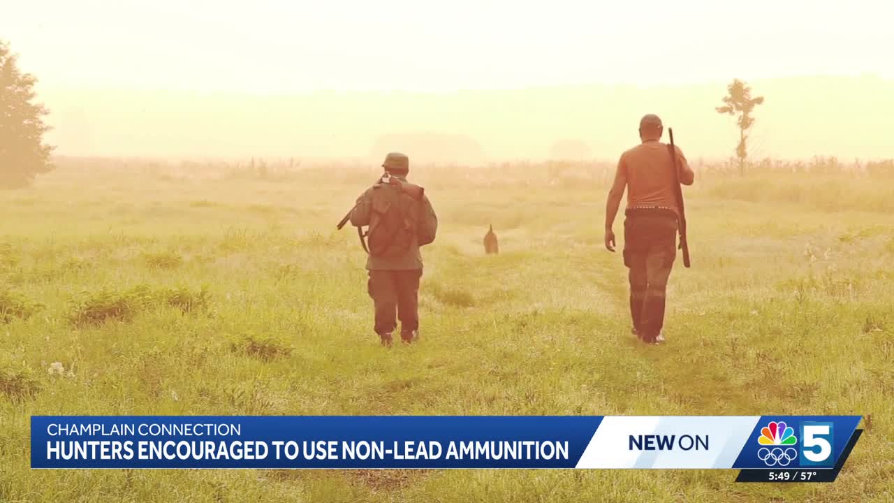 Vermont hunters encouraged to switch to lead-free ammunition this season