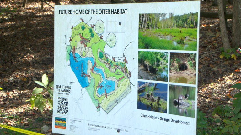 Kingsport BMA awards contract for Bays Mountain otter habitat project