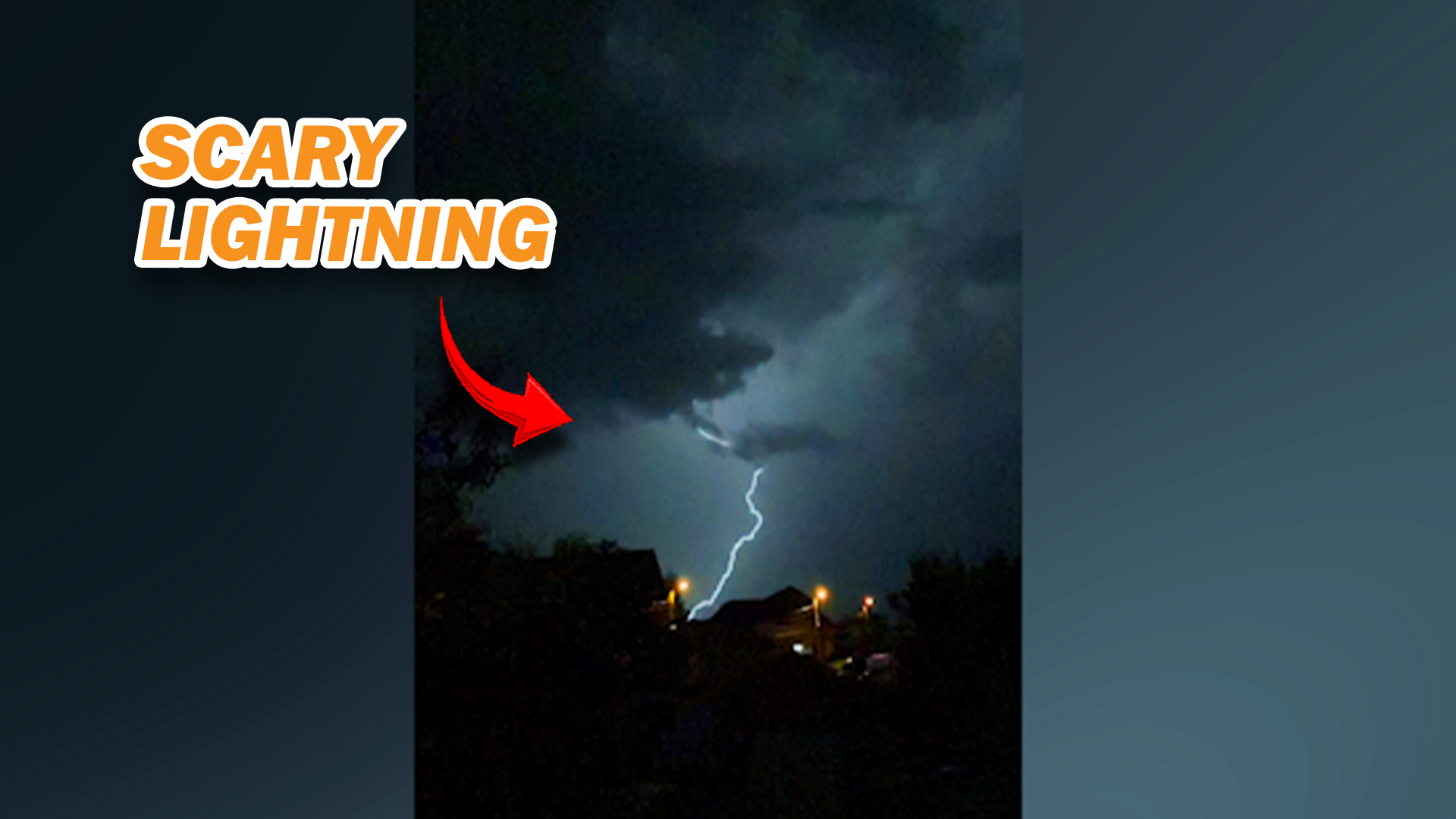 Scary Nature Moments Captured on Camera