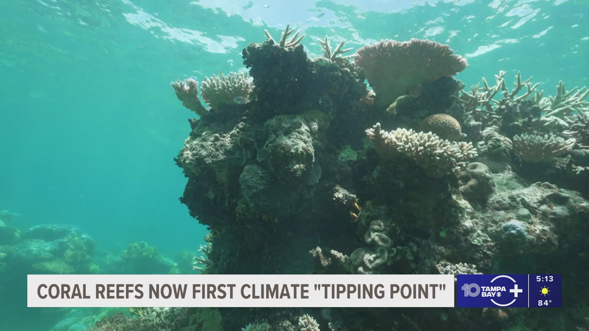 Report warns Earth hit its first 'tipping point,' due to widespread ...