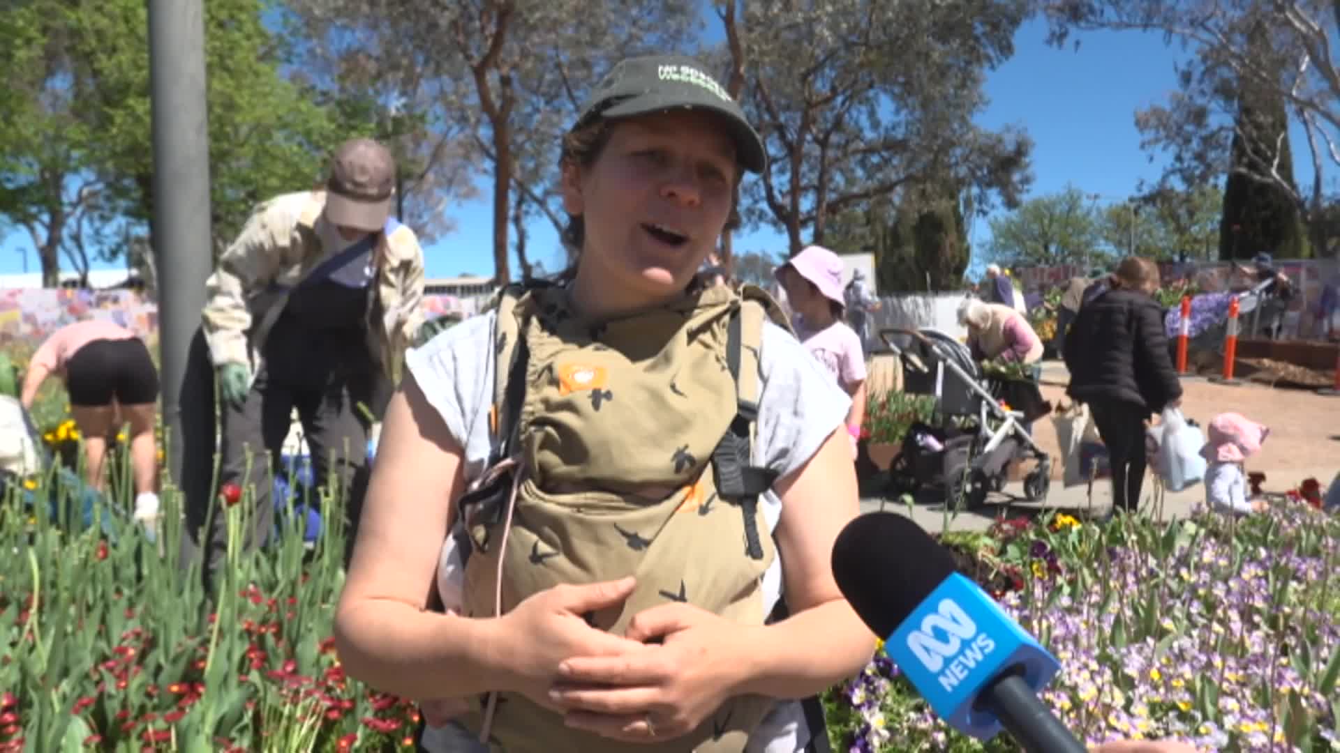 Thousands turn out for Canberra's Great Big Bulb Dig