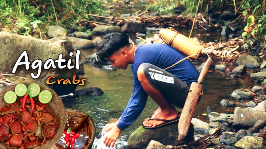 Catching and Cooking Wild River Crabs | Life in the Countryside | Fresh ...