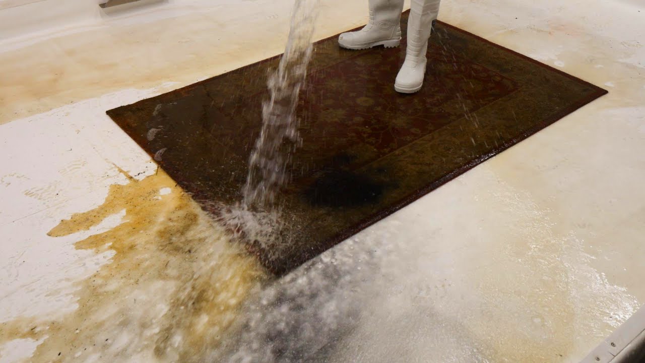 Rug cleaning satisfaction in 10 years