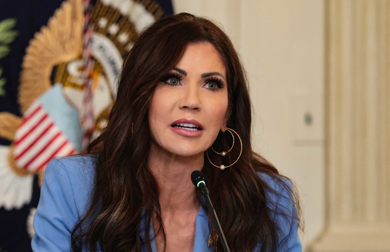 'Everyone is now dumber!' DHS slams pundit using 'Billy Madison' quote ...