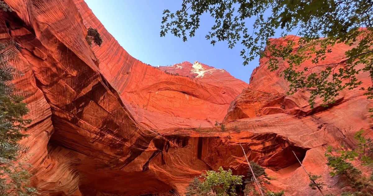 The Epic 5-Mile Trail in Zion National Park Worth the Final View