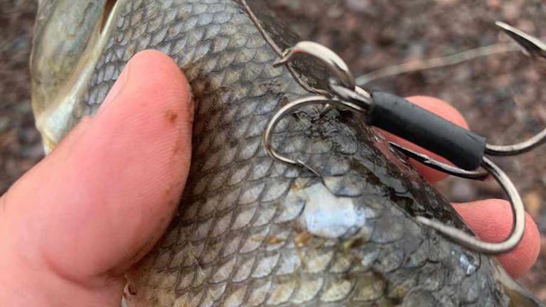 One Rig That Outfishes Every Lure: The Secret to Fall Muskie Success