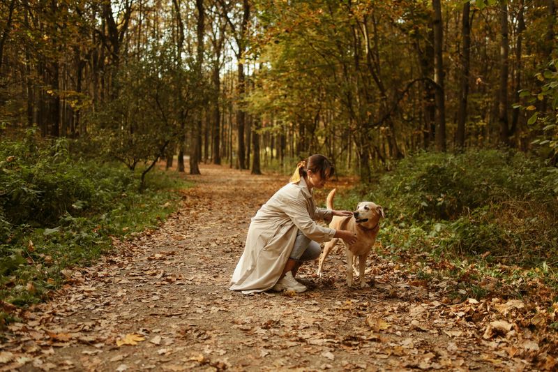 Your Dog Will Love You Even More If You Do These 8 Things