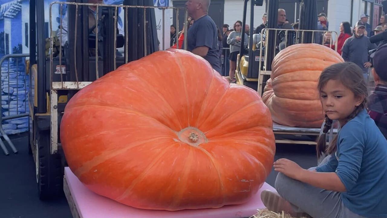 Half Moon Bay's world champion pumpkin weighs in at 2,346 pounds