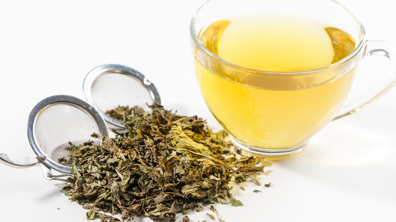 6 Expert Tips And Tricks For Brewing Sencha Green Tea